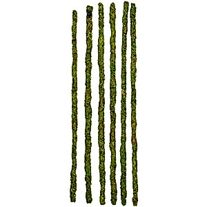 Galápagos (05322) Mossy Terrarium Sticks (6 Pack), 32"