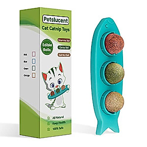 Petslucent 3in1 Cat Catnip & Silverine Balls Wall Toys for Indoor Cats (Blue)