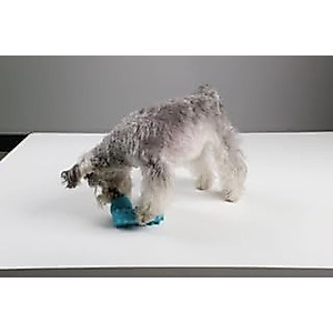 iPetz Dog ChewPod (Large/ExtraLarge)