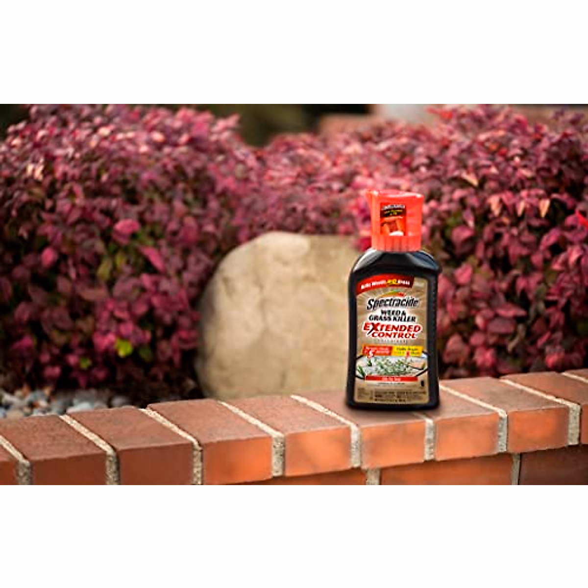 Spectracide Weed and Grass Killer with Extended Control Concentrate, 32 Ounces, with Accumeasure System (Case of 6)