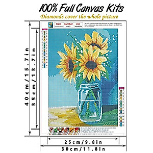 weirtoya Diamond Painting Kits for Adults Round Full Drill Diamond Painting Kits, 5D DIY Diamond Painting by Number Kits Diamond Art Kits for Home Wall Decoratiob 12x16 Inch