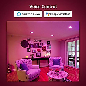 LED Flood Light Bulbs, WiFi Smart BR30 E26 Bulb, RGBW Color Changing Lights, Works with Alexa & Google Assistant, Dimmable Recessed Can Light Bulbs, 8W=65W, 700 Lumens, 2 Packs