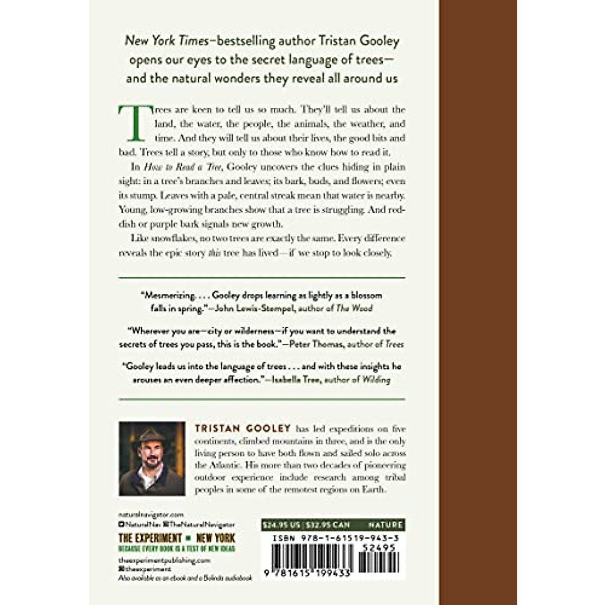 How to Read a Tree: Clues and Patterns from Bark to Leaves (Natural Navigation)