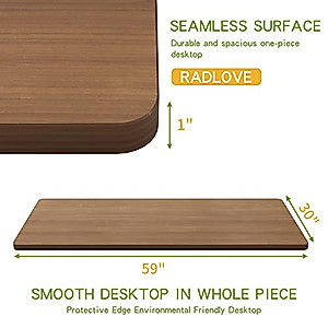 Radlove Dual Motor Electric Height Adjustable Standing Desk, 59 x 30 Inches Desk Whole-Piece Desk Board Electric Sit Stand Desk Home Office Table Ergonomic Desk