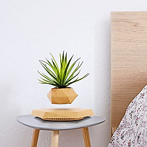 HCNT Levitating Plant Pot, Magnetic Levitation Flower Pot Rotating Planters Suspension Floating Plant Succulents Potted for Home Living Room Office Desk Decoration (Wood)