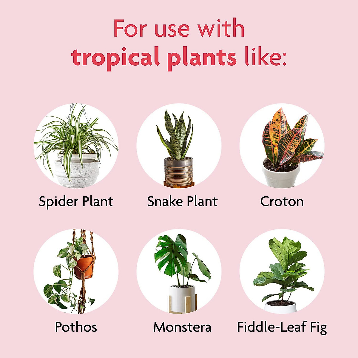 Miracle-Gro Tropical Houseplant Food - Liquid Fertilizer for Tropical Houseplants, 8 fl. oz., 2-Pack