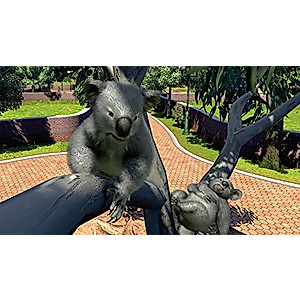 Zoo Tycoon Definitive Edition - XBONE