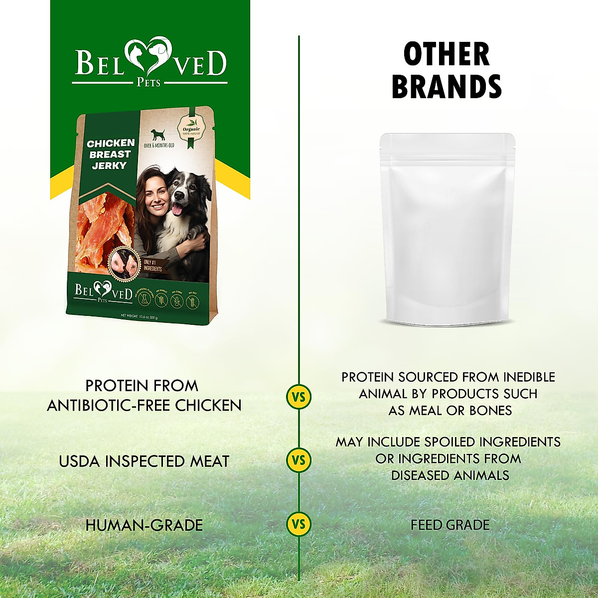 Beloved Pets Chicken Jerky Dog Treats 11 OZ - All Natural and Healthy Snacks for Large & Small Dogs - Grain Free and High Protein Meat - Human Grade Pet Chews