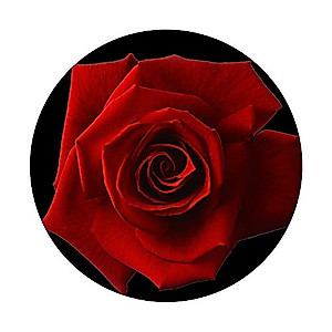 Cellphone Pop Out Holder Red Rose Flower Design Floral Black PopSockets PopGrip: Swappable Grip for Phones & Tablets