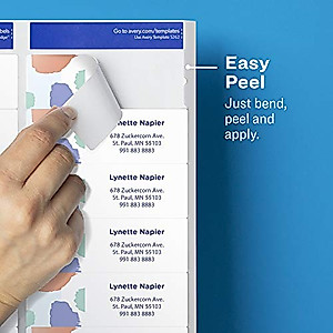 Avery Printable Address Labels with Sure Feed, Matte Clear, 1-1/3" x 4", 350 Mailing Labels (08662)