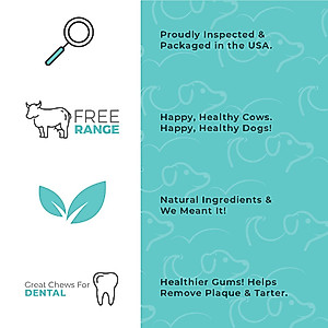 Dog Nip! 12" Tripe Twists - Crunchy Snack - Natural Grass Fed Organic Beef - Rawhide Alternative - Promotes Dental Health - Fully Digestible - Healthy Dog Treat Chews…