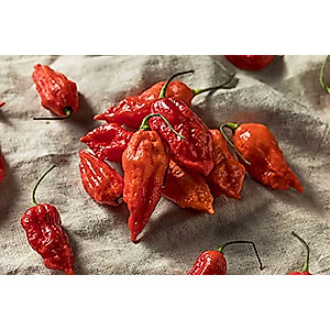 Whole Dried Ghost Pepper Pods (Bhut Jolokia) - 8 Whole Pods