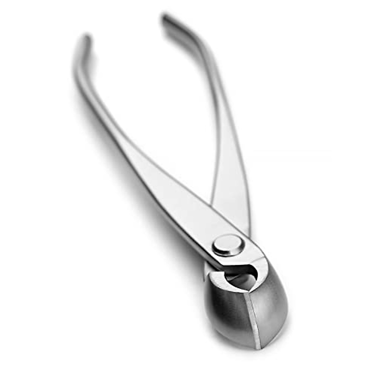 180MM Bonsai Round Edge Cutter Professional Grade Branch Cutter Alloy Steel Bonsai Tools Equip With Tool Bag (MTS-13)