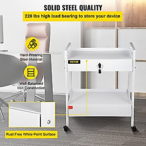 VEVOR Lab Cart, 2 Tiers Stainless Steel Utility Cart Medical Cart 2 Drawers Rolling Lab Cart White Paint Serving Cart with 360° Casters for Laboratory Hospital Dental Office Salon Beauty