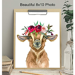 Cute Baby Goat w/Flower Crown Wall Art Home Decor - Decoration for Girls or Boys Bedroom, Nursery, Kids Room, Playroom, Preschool, Daycare - Farmhouse, Farm Theme Gift - Baby Animals Picture Print