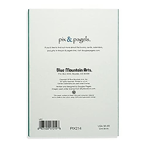 Blue Mountain Arts Birthday Card Assortment—3 Unique Greeting Cards with Uplifting Happy Birthday Wishes for the Special People in Your Life