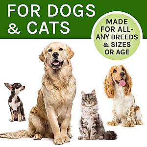 Аdrеnаl Balance for Dogs and Cats - Cushings Treatment for Pets, Аdrеnаl Support w/Ashwagandha, Licorice Root, Rhodiola Rosea – Best Cushings Treatment for Dogs - 2oz Harmony Herbal Drops