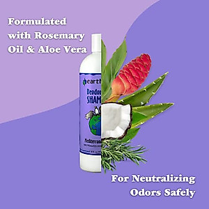 Earthbath Deodorizing Dog Shampoo – Best Shampoo for Smelly Dogs, Neutralizes Odors, Made in USA - Mediterranean Magic with Rosemary, 16 oz