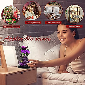 DENIMOMO Preserved Rose Gifts for Mom Wife Grandma Forever Real Roses in Glass Dome,Beauty and The Beast Rose Flowers,Thanksging Anniversary Birthday Gifts/Purple