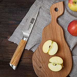 HOSHANHO Damascus Paring Knife 3.75 Inch, Professional 67 Layers Damascus Super Steel Small Fruit Knife, Super Sharp Hand Forged Japanese Paring Knife