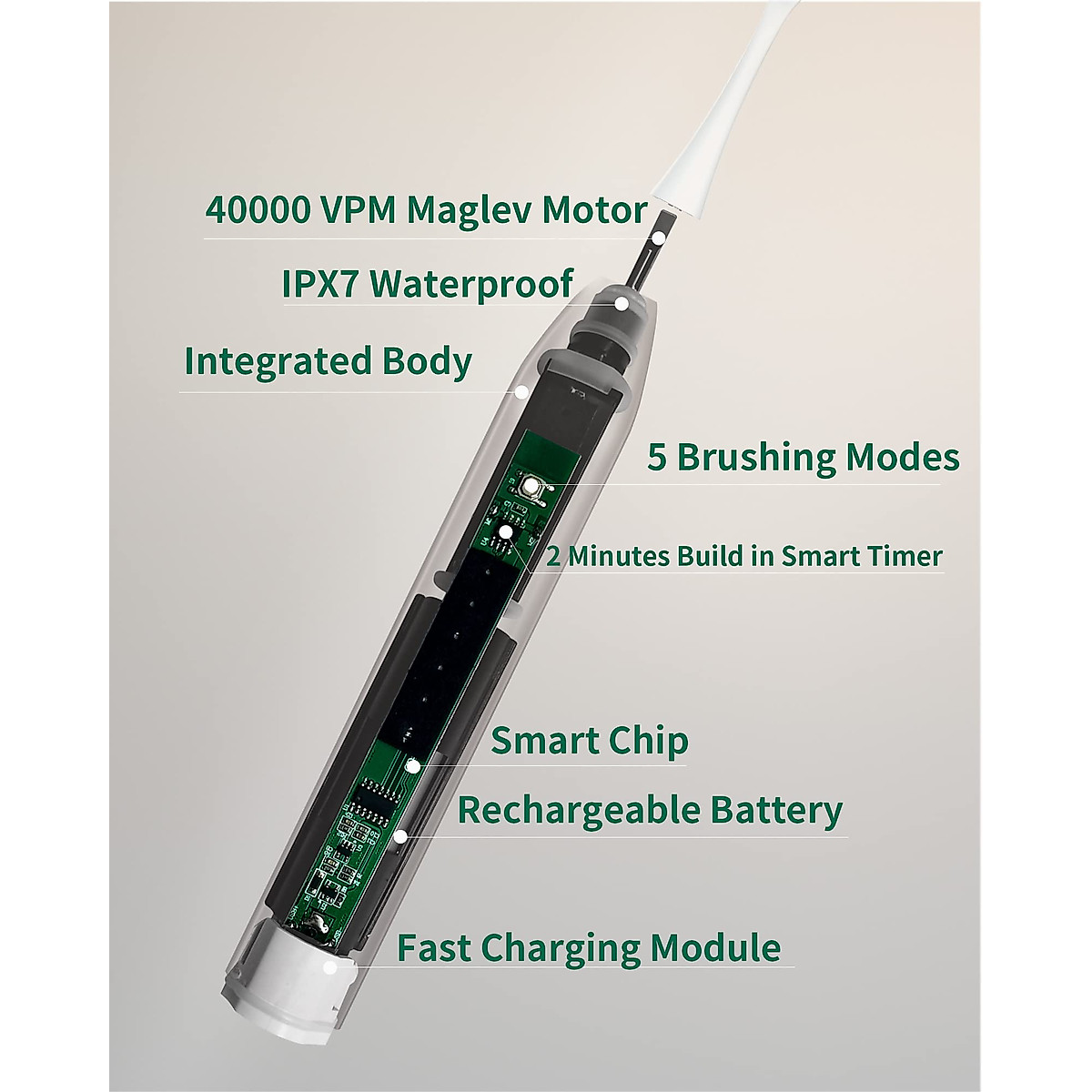 CRKIOB Electric Toothbrush with 10 Brush Heads for Adults and Kids,5 Modes,3 Speeds/Mode,2 Minutes Built in Smart Timer,Sonic Toothbrush,Kids toothbrushes(White)