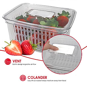 Home Basics Clear Fruit and Vegetable Fridge Storage Container Small Produce Saver with Lid and Removable Colander | Adjustable Air Vent on Lid