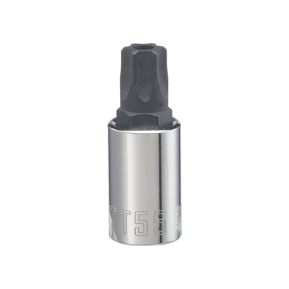 CRAFTSMAN Torx Bit Socket, 3/8-in. Drive, T55 (CMMT42689)