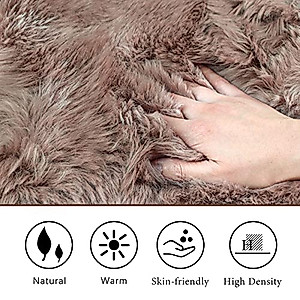 OKAYDA Genuine New Zealand Sheepskin Area Rug Soft Lambskin Decorative Rug for Bedroom Sofa Floor One Pelt