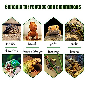 Hamiledyi Reptile Carpet Coconut Fiber Mat Terrarium Bedding Substrate Liner Soft Green Mat for Bearded Dragon Tortoise Lizard Snake Gecko Chamelon Iguana(2 Pcs)