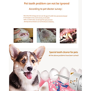 Fumzen Cordless Water Flosser Dental Care for Pets Portable Water Teeth Cleaner for Dogs Oral Irrigator with 3 Modes 2 Jet Tips IPX7 Waterproof Pets Cats Dogs Teeth Cleaning (Blue)