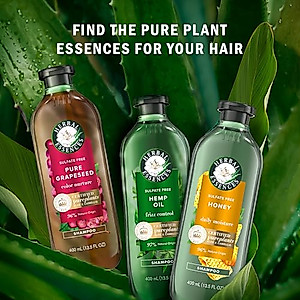 Herbal Essences bio:renew Hemp + Potent Aloe Conditioner for Frizz, 13.5 Fl Oz
