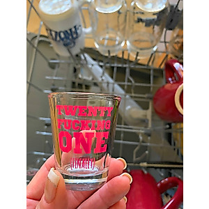 GO FROZEN 21st Birthday Shot Glass-Novelty Gifts for 21st Birthday Girl-21 Year Old Birthday Gag Gifts-Finally 21-Hot Pink-1.75oz (clear-pink)