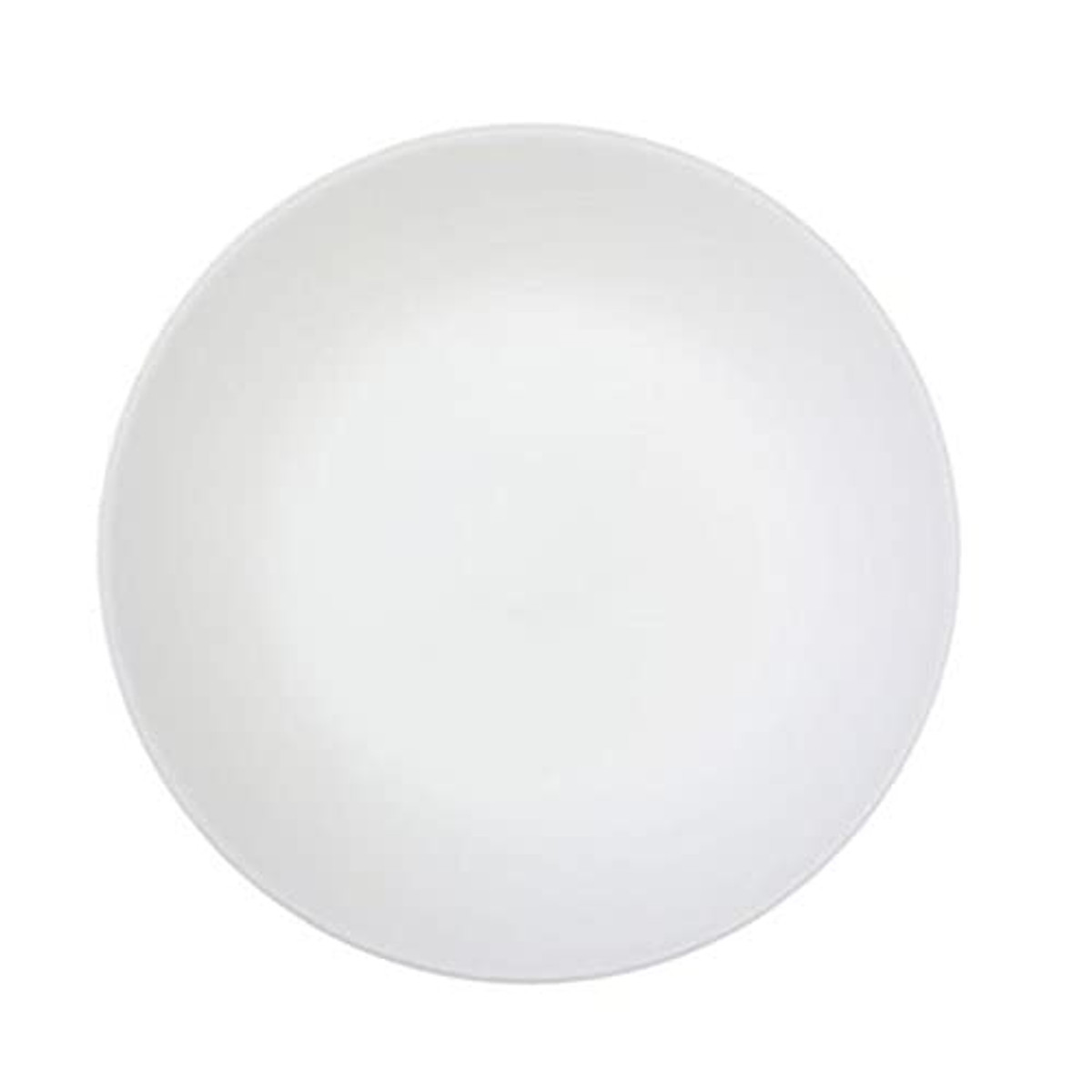 Corelle 6003893 Winter Frost White 10.25 Inch Plate