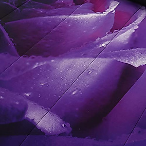 Purple Comforter Set Full Reversible Purple Rose Pattern Printed Bedding Down Comforter with 2 Pillow Cases for All Seasons, Soft Microfiber Bedding Comforter Duvet Set for Full Bed 80"x90"