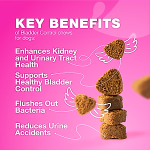 Dog UTI Treatment - Dog Cranberry Supplement for Urinary Tract, Bladder & Kidney Health, Incontinence Support - Bladder Control Cranberry Chews - Cranberry Supplement for Dog Incontinence