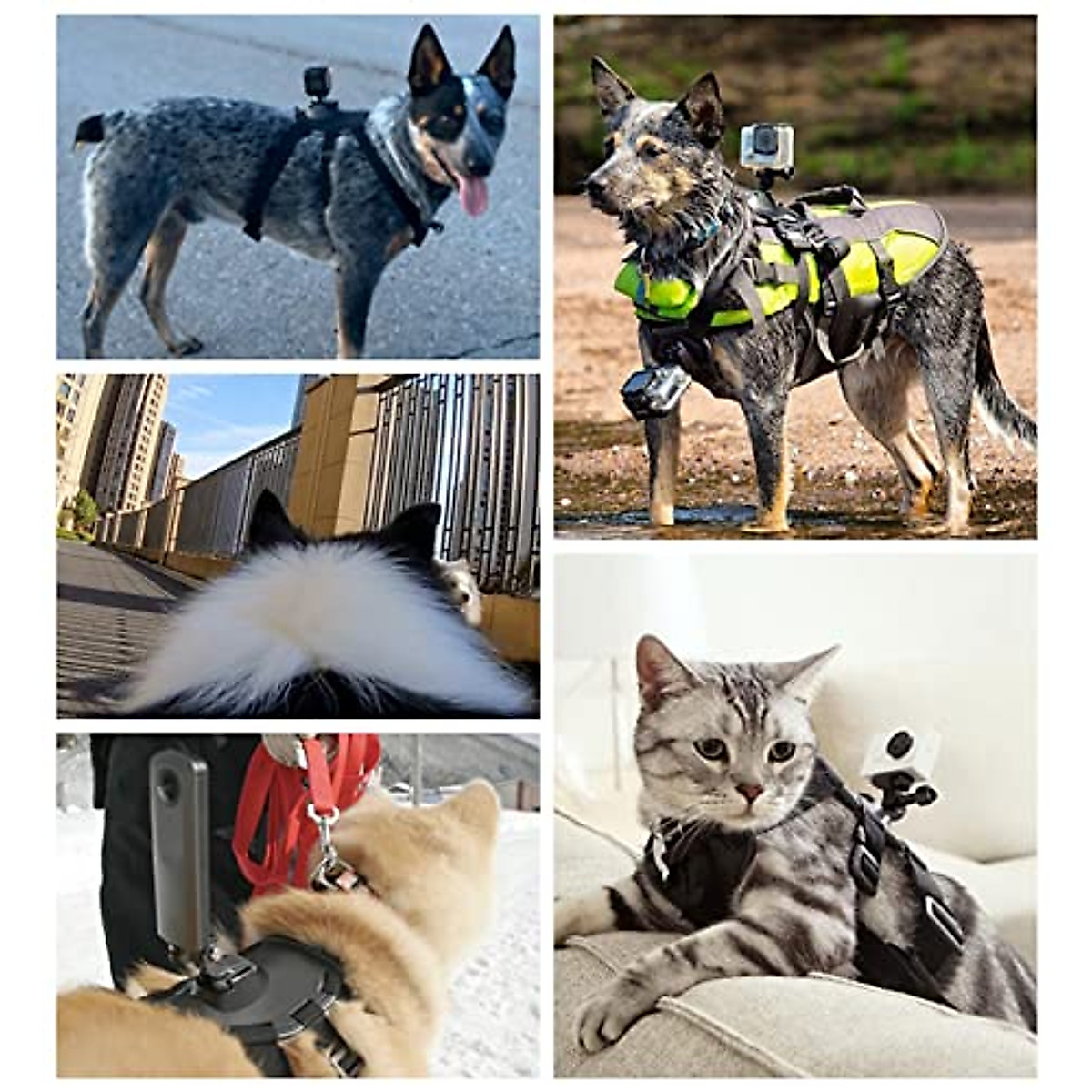 Dog Harness Mount for Gopro, Soft and Adjustable Dog Harness Vest with 2 Mouting Base Pet Chest and Back Fixation for Gopro Hero All Models, Suitable for Small Medium Large Dogs