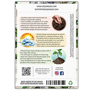 Seed Needs, Blue Passion Flower Seeds - 100 Heirloom Seeds for Planting Passiflora caerulea - Open Pollinated, Tropical Vine (1 Pack)