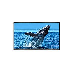 DFZ 15.6 Inch USB Type-C Portable Monitor, FHD (1920x1080), IPS, HD 1080P Supports Mobile Line Communication
