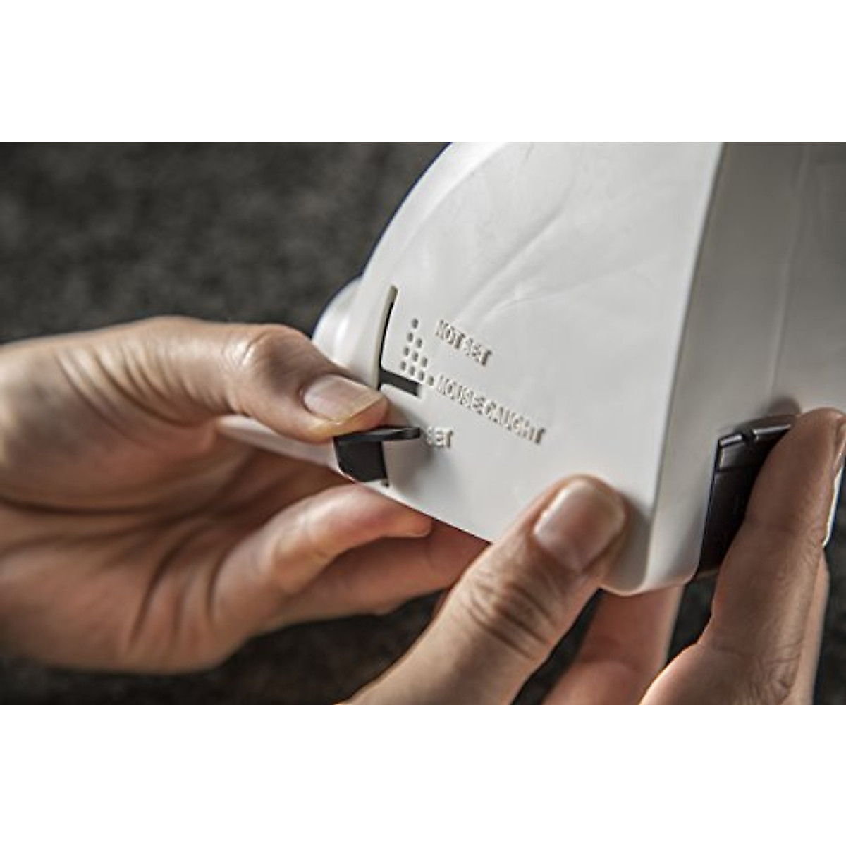 Tomcat Kill & Contain Mouse Trap