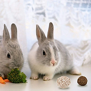 Rabbit Chew Toys,Rabbit Chinchilla Hamster Tooth Chew Toys,Natural Apple Wood Rabbit Supplies Set,Bunny Chew Toys for Teeth for Playing Exercise Teeth Care