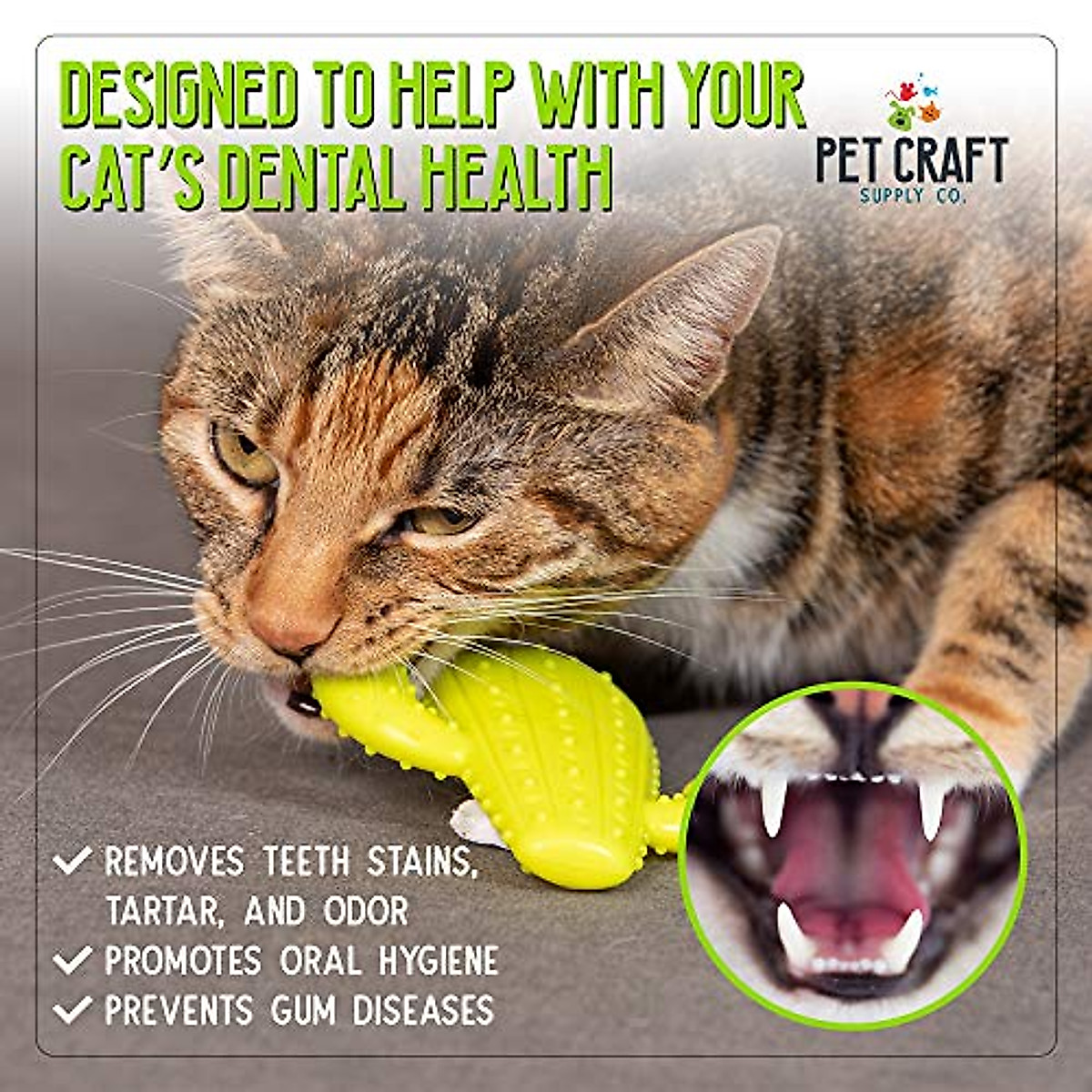 Pet Craft Supply Cactus Interactive Cat Toy Chew Toy Teeth Cleaning Bite Resistant 100% Natural Rubber with Bonus Catnip and Silvervine Bags for Kittens and Adult Cat