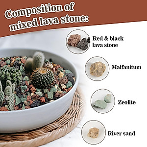 Sukh 2LBS Horticultural Succulent Rocks Bonsai Mix Succulent Potting Mix Lava Rocks Cactus Soil Potting Mix Amendment.