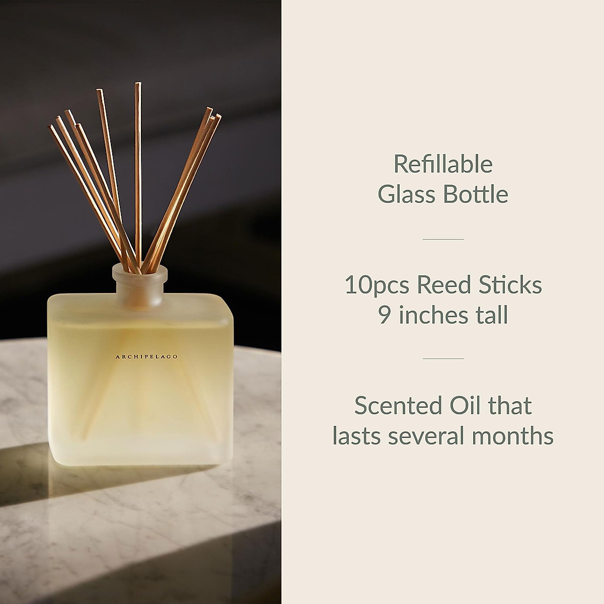 Archipelago Botanicals Charleston Reed Diffuser, Home Fragrance Reed Diffuser, Includes Fragrance Oil, Frosted Glass Vessel & 10 Diffuser Reeds, Perfect for Home, Office or Gift, 7.6 Fl Oz