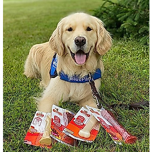 Nylabone Power Chew Classic Bone Chew Toy for Dogs, Durable Dog Toys for Aggressive Chewers, Original Flavor, Large/Giant - Up to 50 lbs. (1 Count)