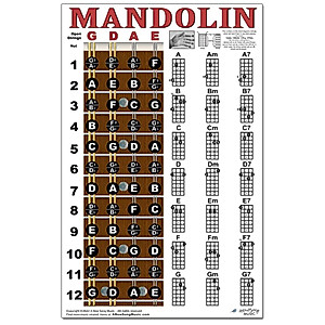 Laminated Mandolin Fretboard Notes & Easy Beginner Chord Chart 11"x17" Instructional Poster by A New Song Music