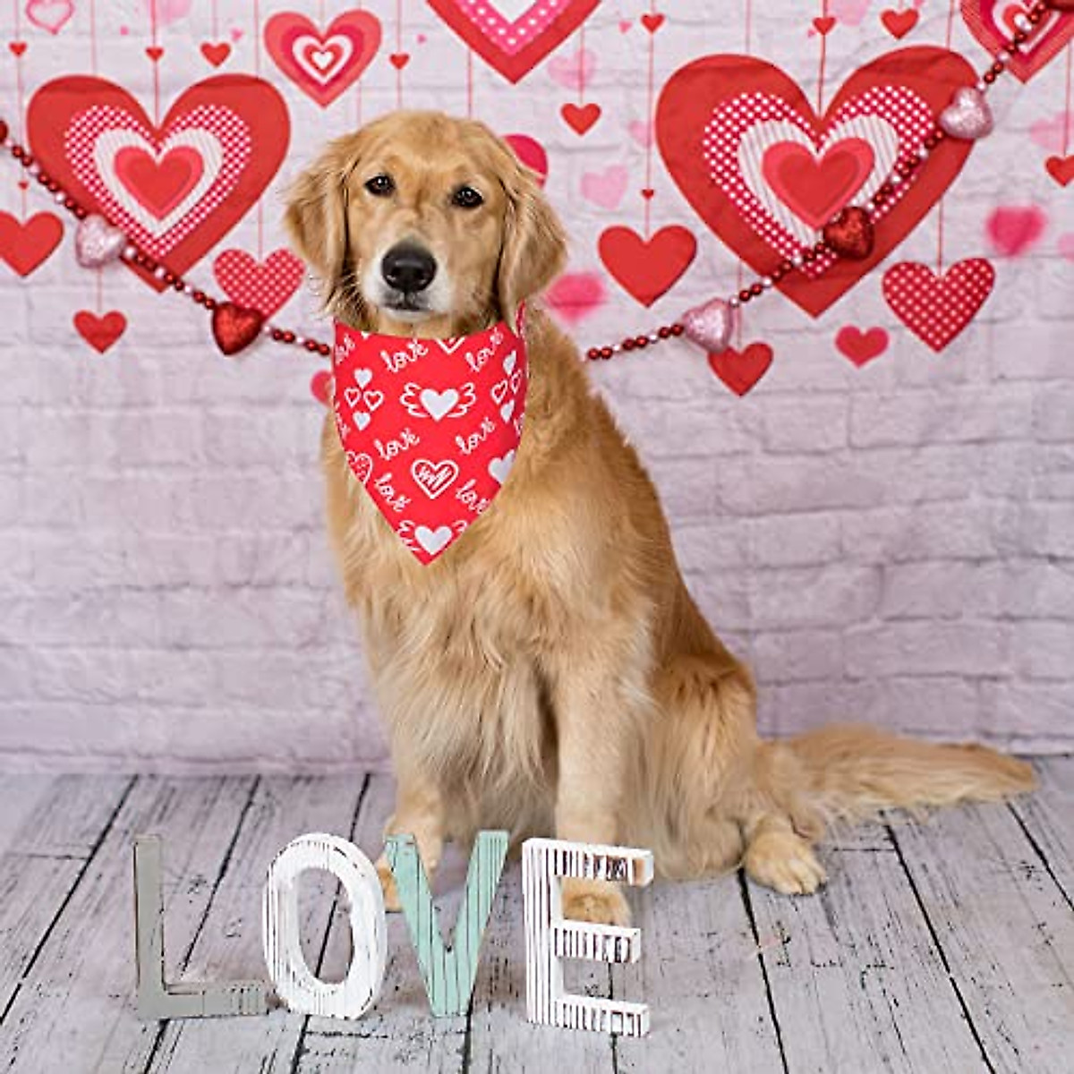 ADOGGYGO Valentine's Day Dog Bandana, Multiple Sizes Offered, Triangle Dog Scarf Valentine Day Bandana for Medium Large Dogs (Large, Valentine's Day)