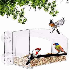 Large Clearance Birdfeeder - Best Window Bird Feeder for Viewing Wild Crow Finch Bluebird Goldfinch Blue Jay Cardinal - Cat Watching - Christmas Mothers Day Gift - Peanut Food Tray - Big Suction Cups