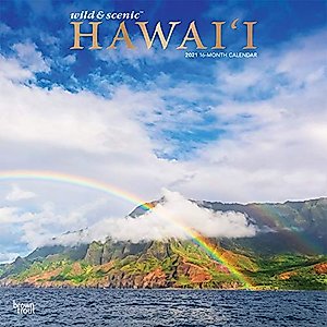 Wild & Scenic Hawaii 2021 Calendar: Foil Stamped Cover