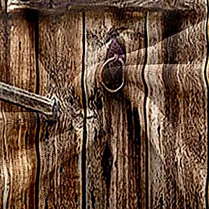 DALEM Soft Fleece Throw Blanket - Fluffy Microfiber Solid Blankets for Bed and Couch Double/Single Size - 59X79Inch Wooden Door Printed Flannel Blanket for Bed, Couch and Sofa