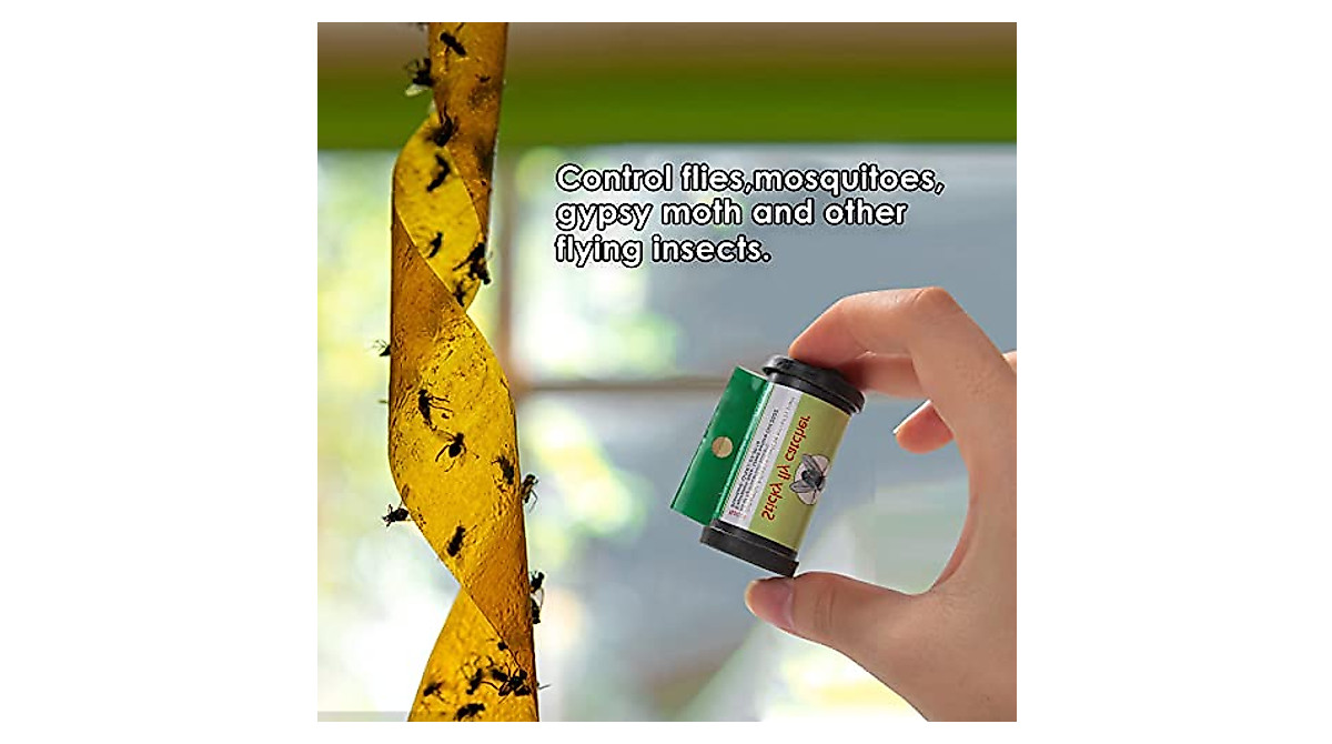 Effective Fruit Fly Trap - Safe & Odorless Sticky Strips